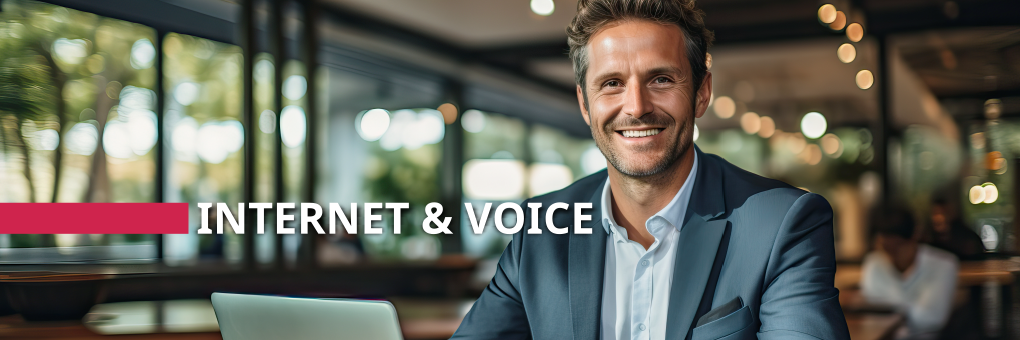 Internet & Voice – Bisping & Bisping